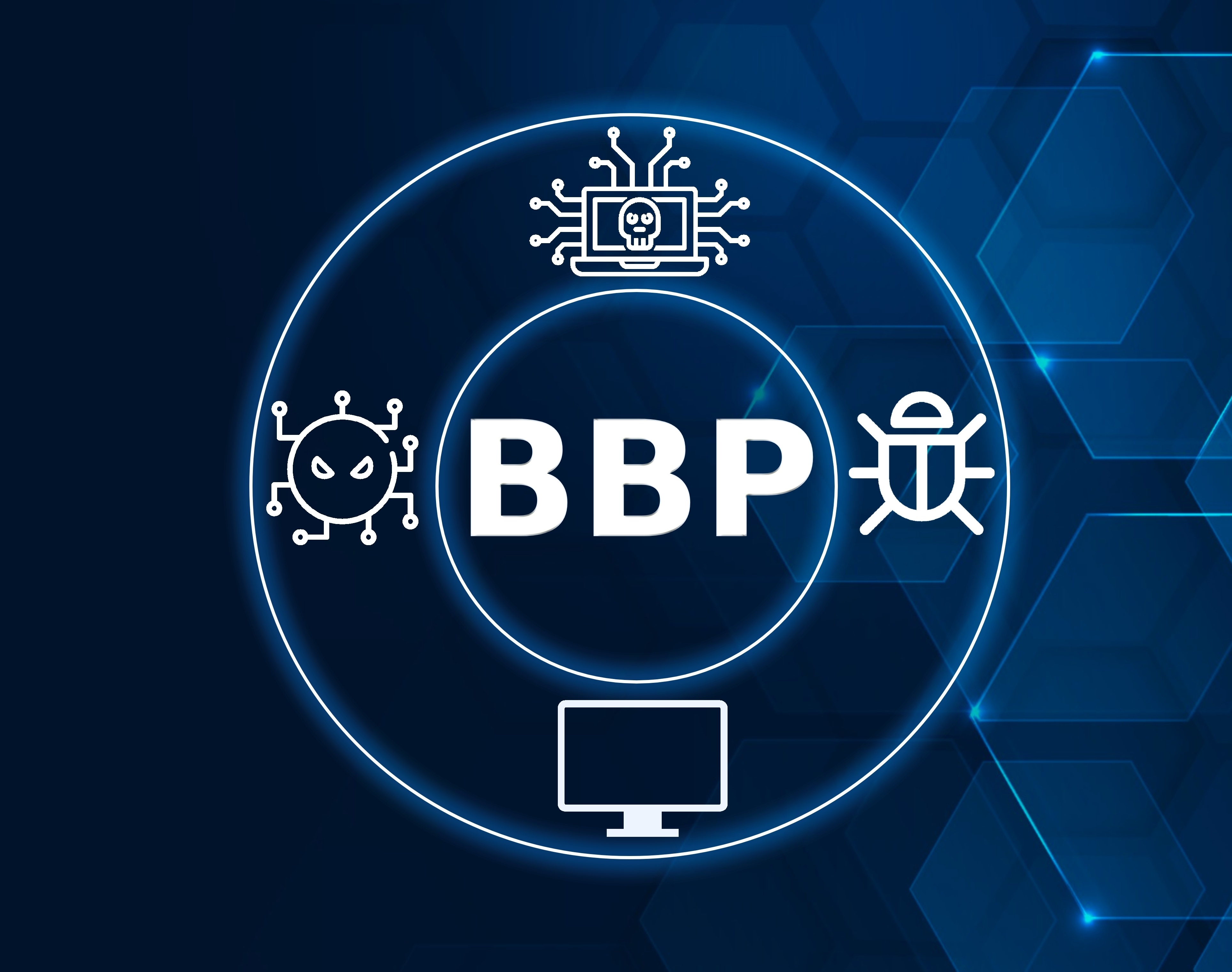 Bug Bounty Program, pros and cons you need to know